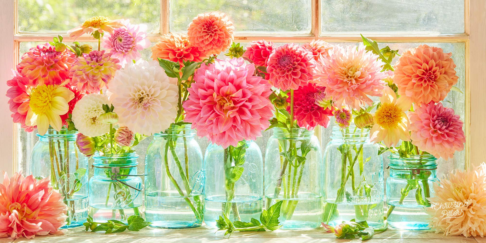 Anthomania Reimagined: Floral Artwork By Christina Peters - IN Wilmington