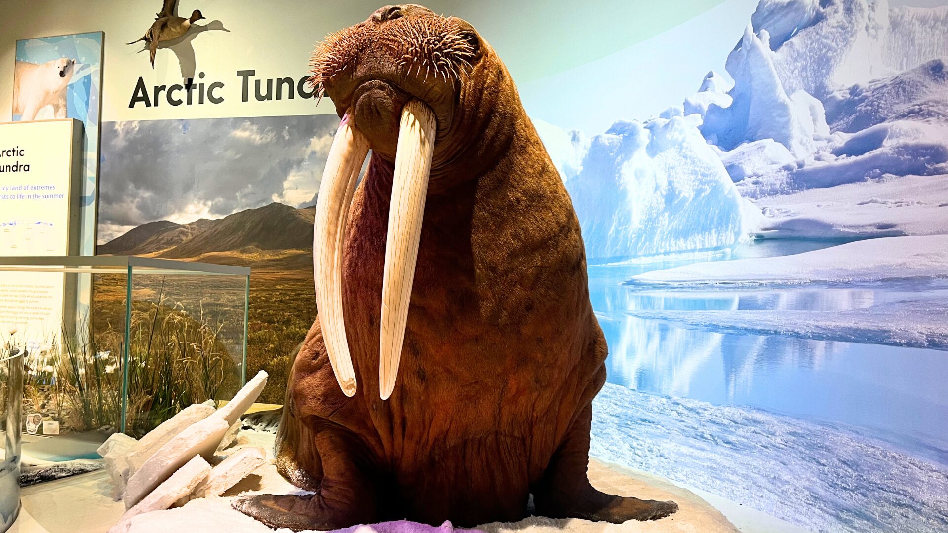 Winter Solstice at the Museum - IN Wilmington